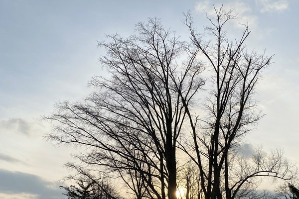 まさ / Atelier Masa｜note