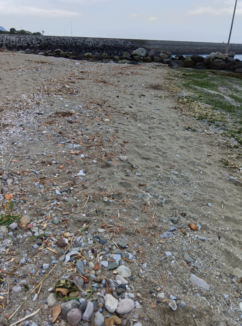 海岸清掃(13)｜SeasideLion