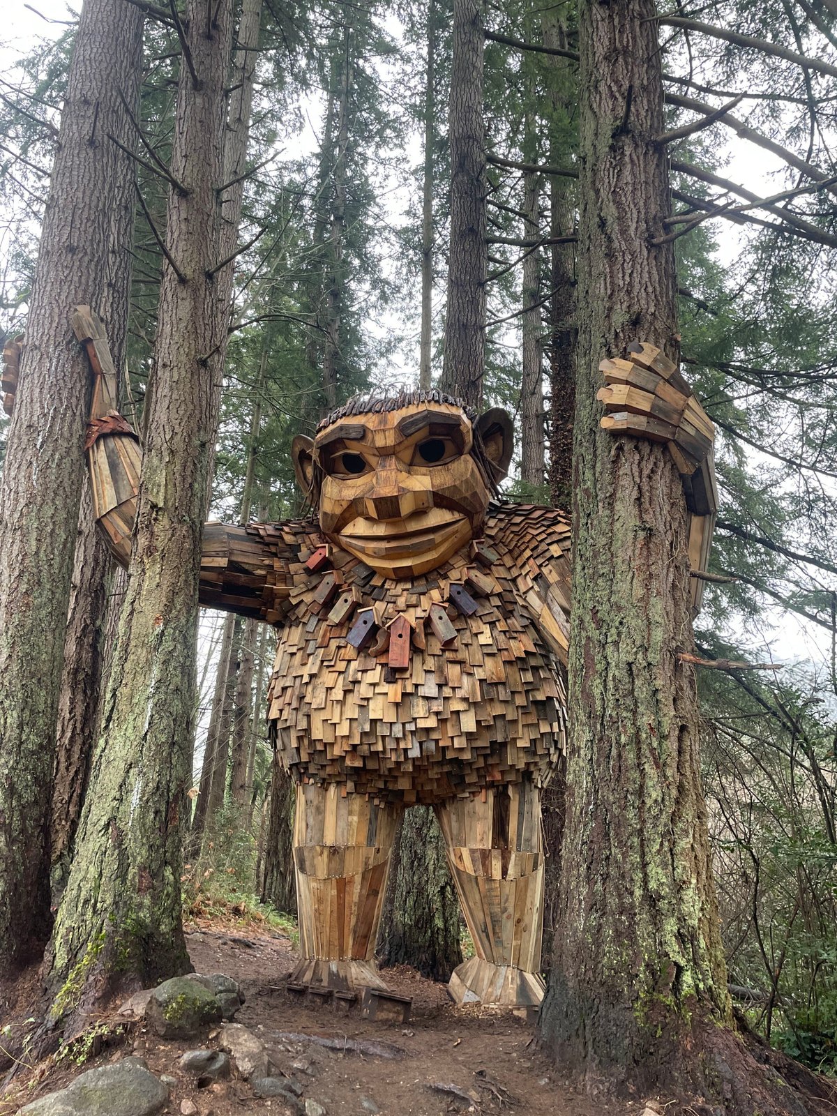 Bucket List 2024｜picton_wakaba