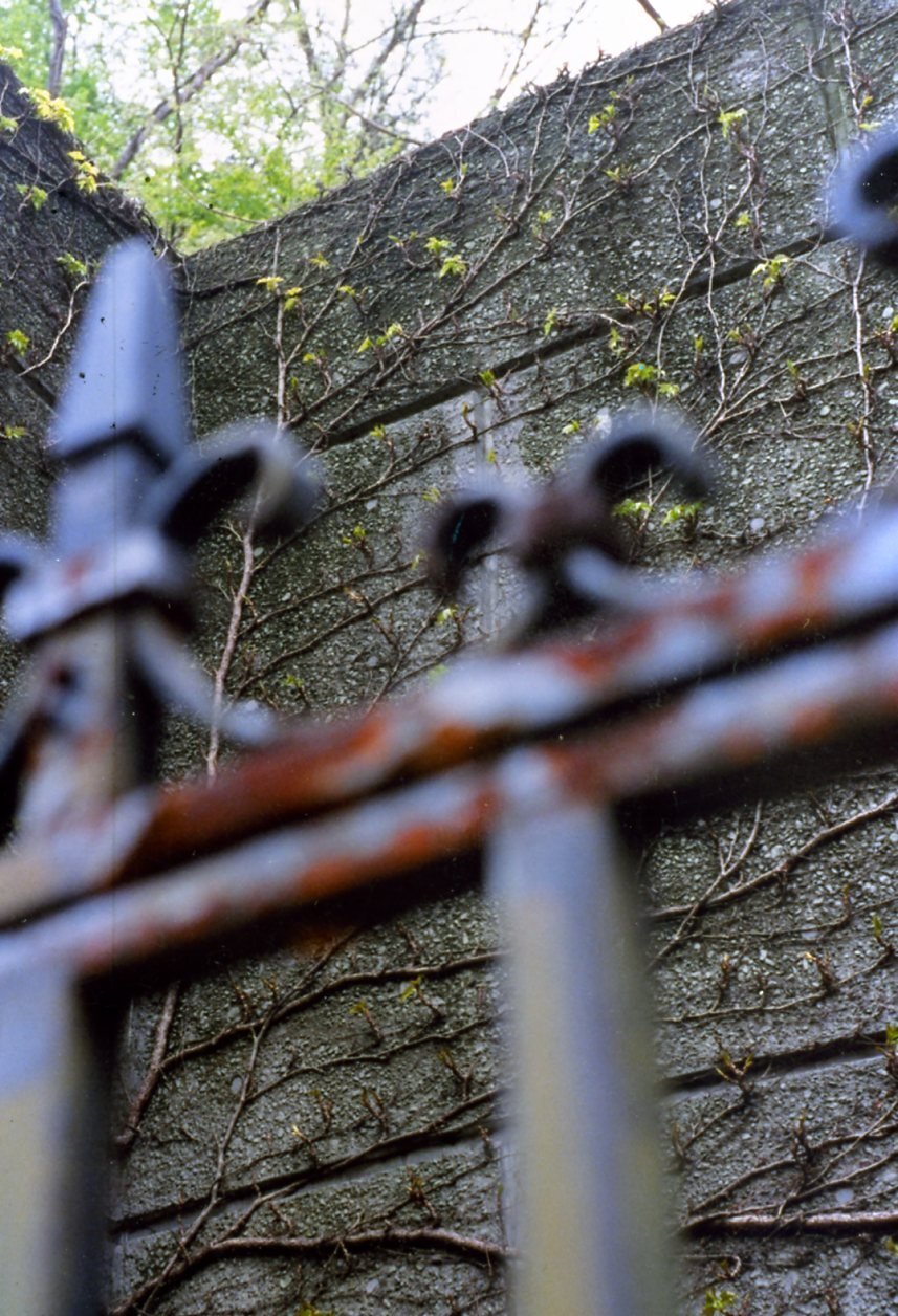 初期の写真丸投げ｜カメラマンアキラ