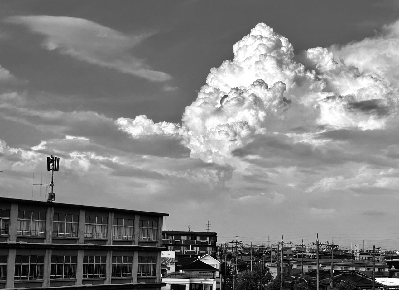 Optim's -pt（オプティムズ プロジェクト）｜note