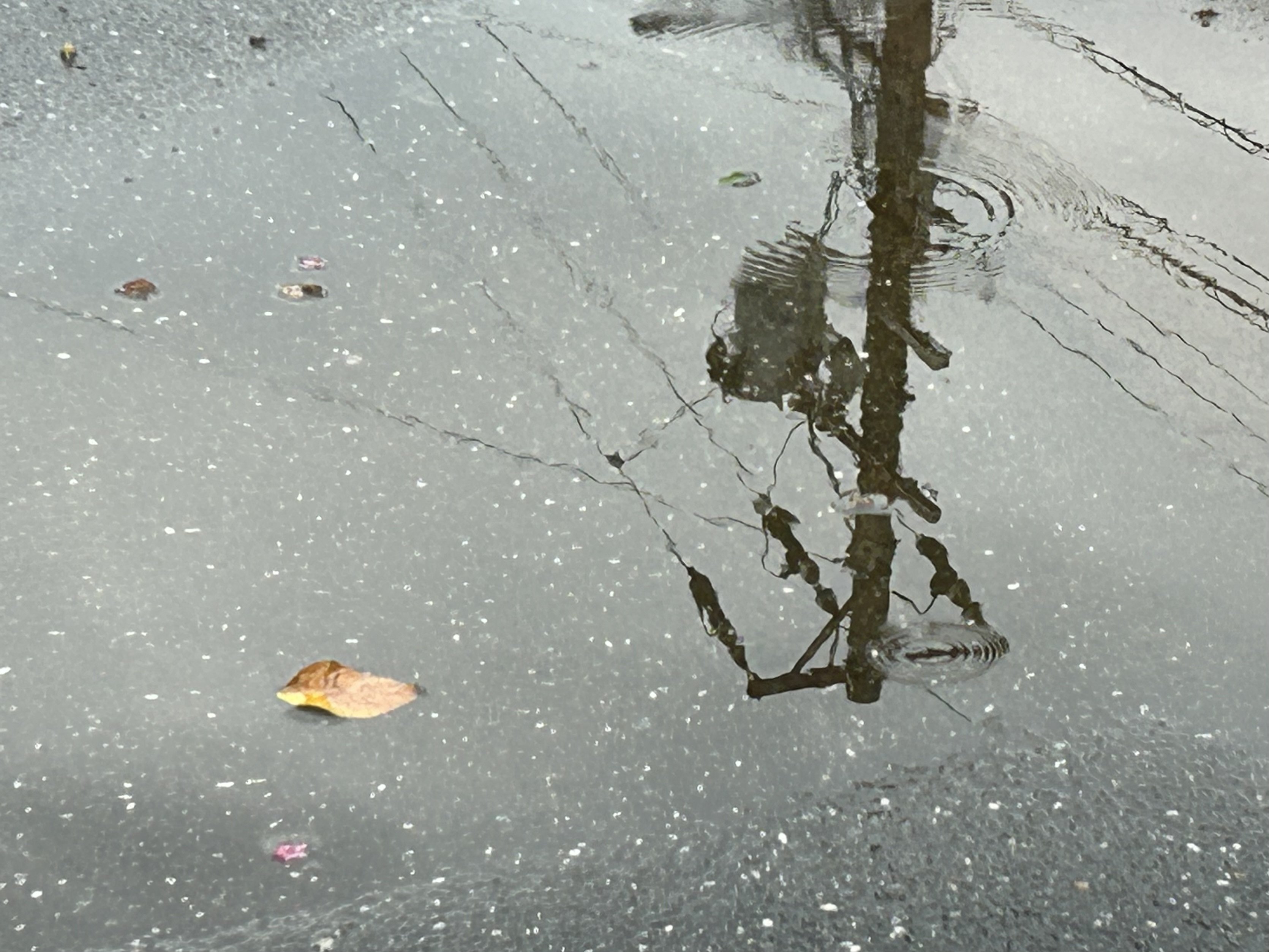 電柱｜Optim's -pt（オプティムズ プロジェクト）