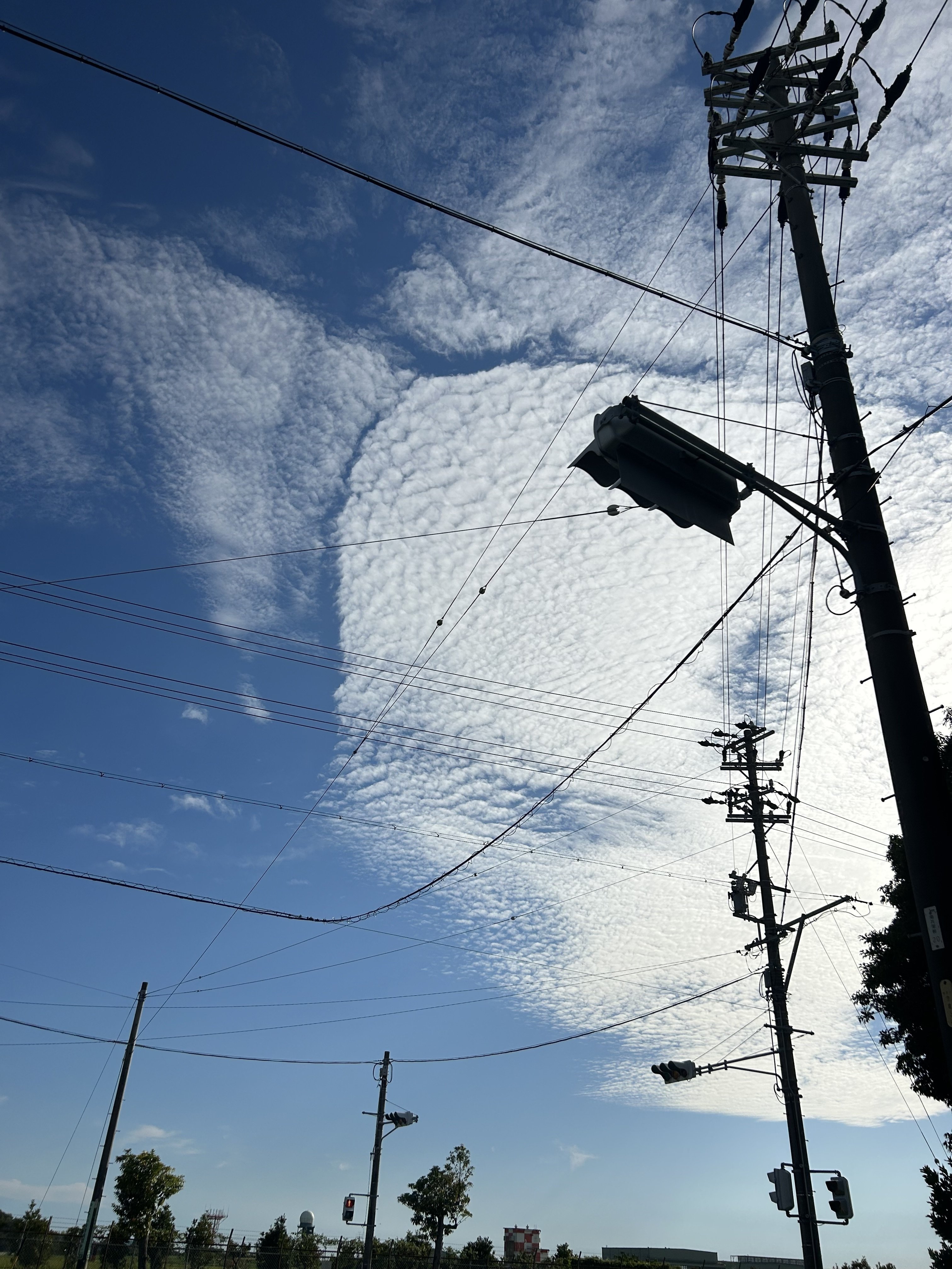 電柱｜Optim's -pt（オプティムズ プロジェクト）