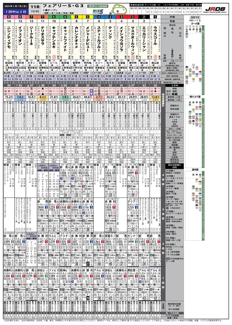 1月7日(日)新ウェブレーシングペーパーをご覧いただけます【フェアリーS】｜JRDB 競馬アラカルト