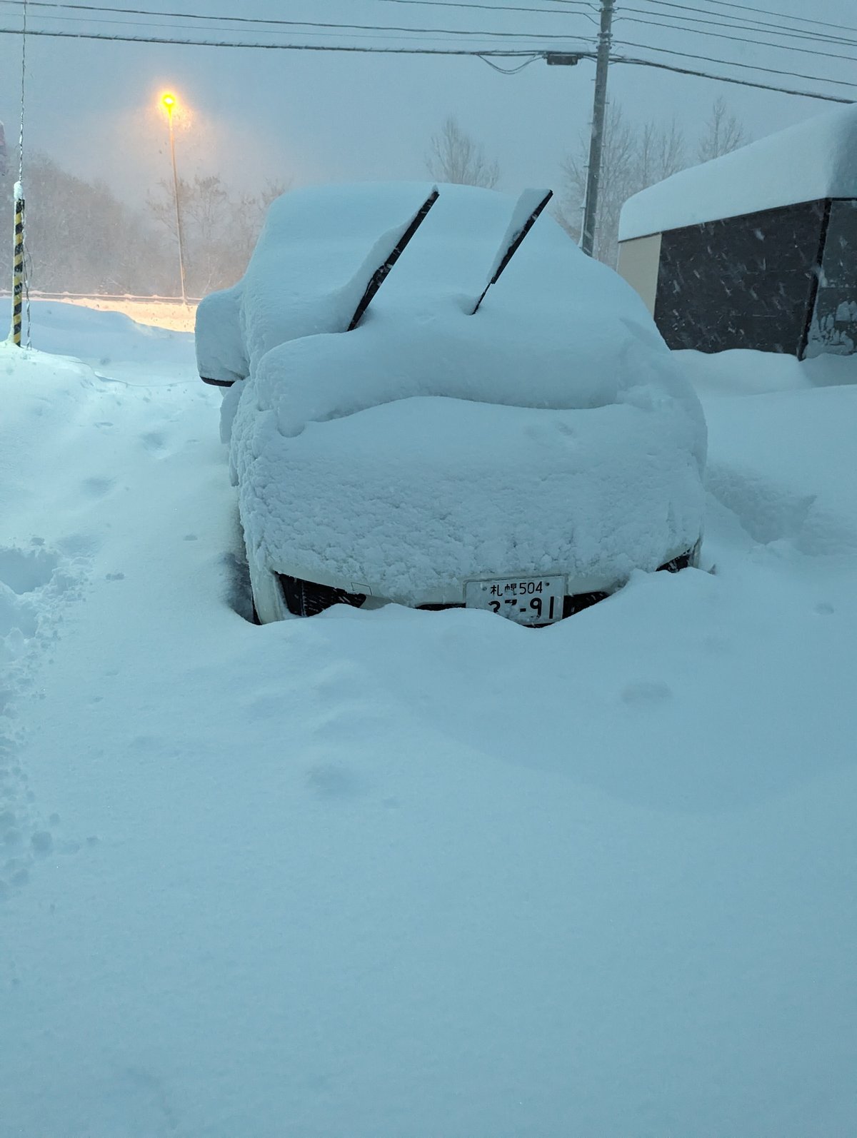 自然に翻弄される｜Dala Space ひろこ