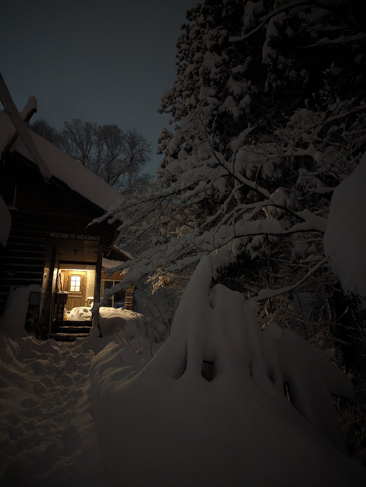 自然に翻弄される｜Dala Space ひろこ