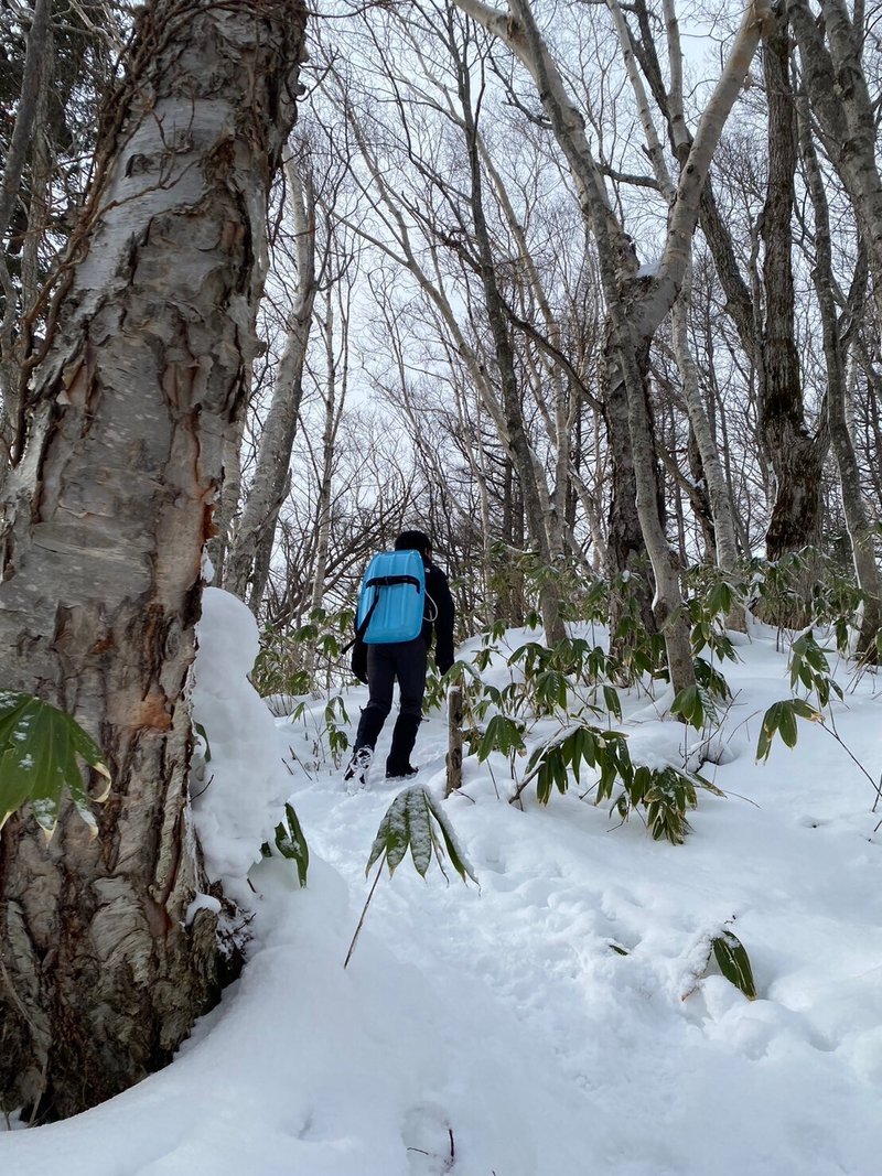山行記録：盤渓山（R6.1.6）｜kakbock（登山社労士）