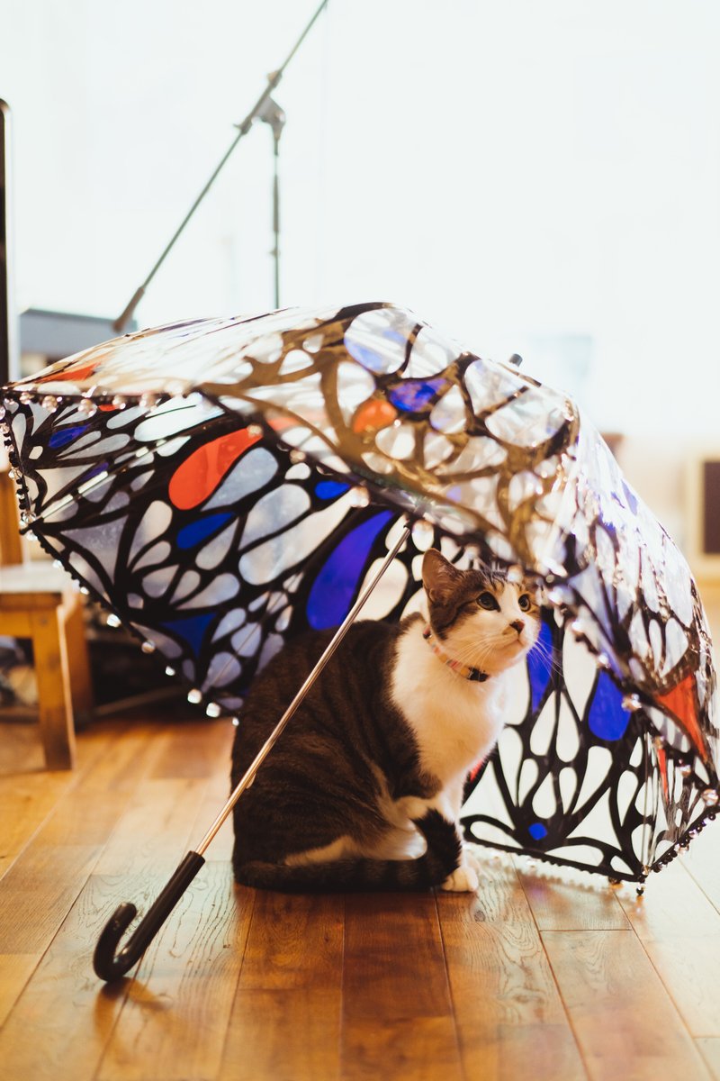 写真で呼吸する記憶_towako｜manimanium