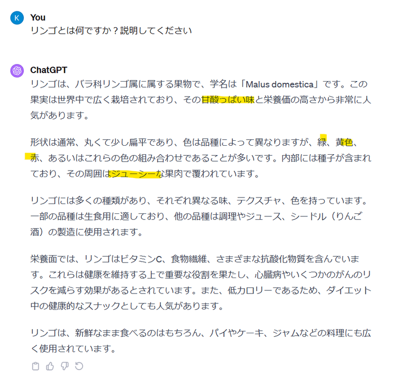 #13 マレーシアから迎春。AIと好奇心。それと肯定の1年。｜Koichi | 流浪大学生