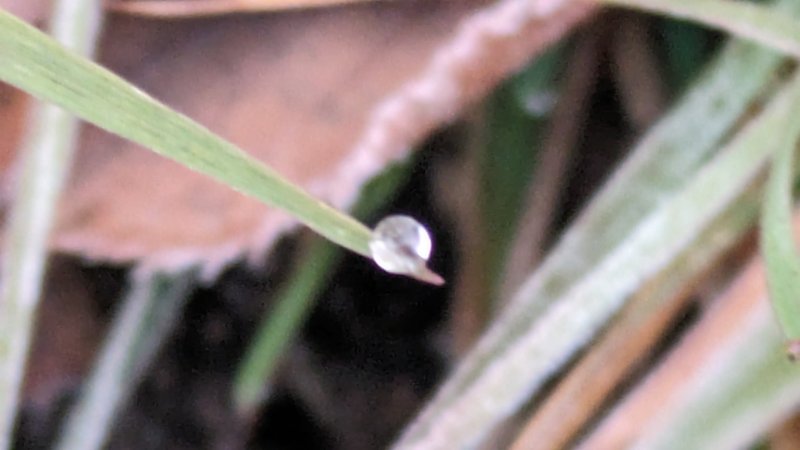 水滴美術館〜かろうじて水滴｜ichiro70