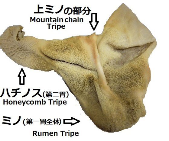 焼肉部位解説⑪人気の牛ミノ、トリッパ、センマイなど｜高橋寛 ジャーナリスト（元商社駐在員 米国、豪州、台湾に勤務）