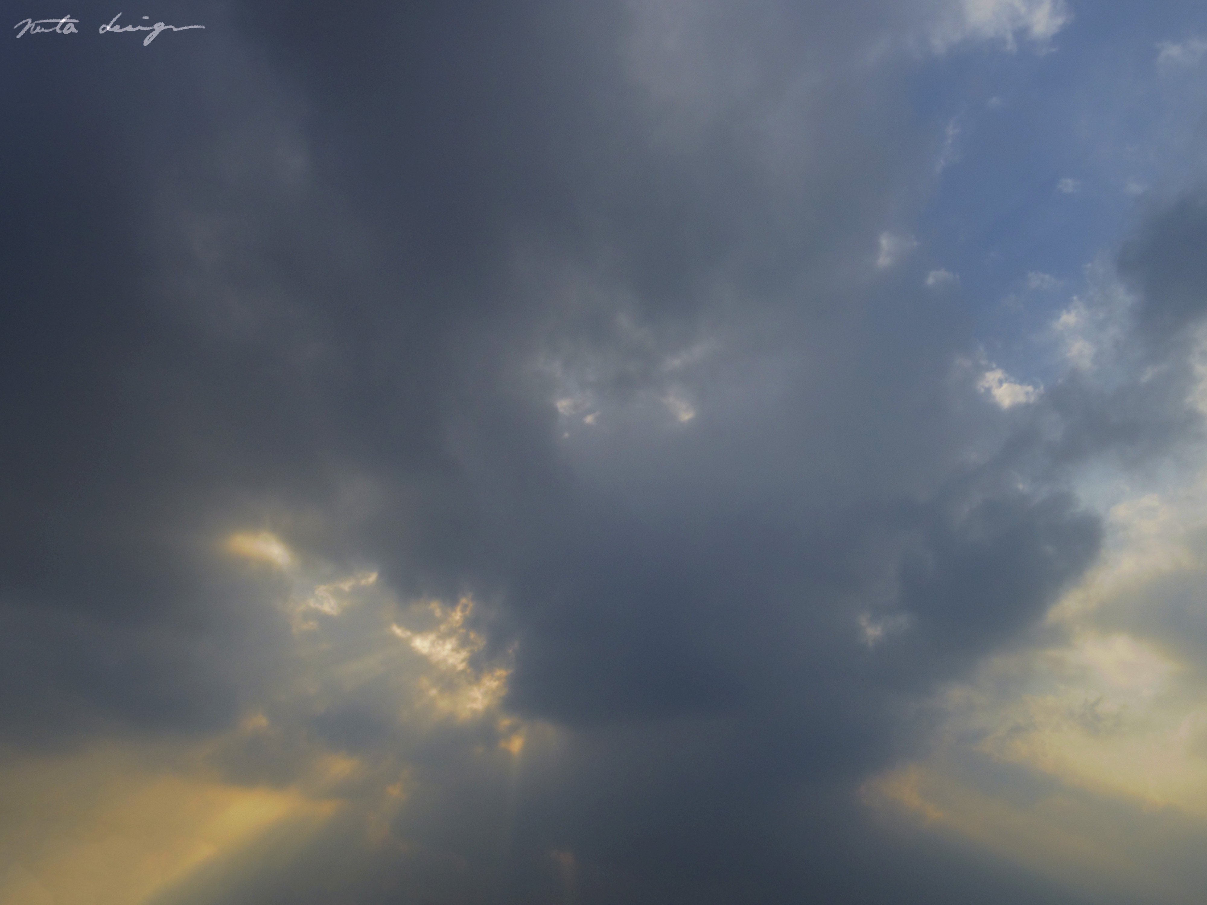 わからなくなってきたぞ｜nuta design