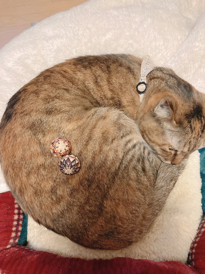 あなたの猫ちゃんは何色ですか?|ゆりてまり