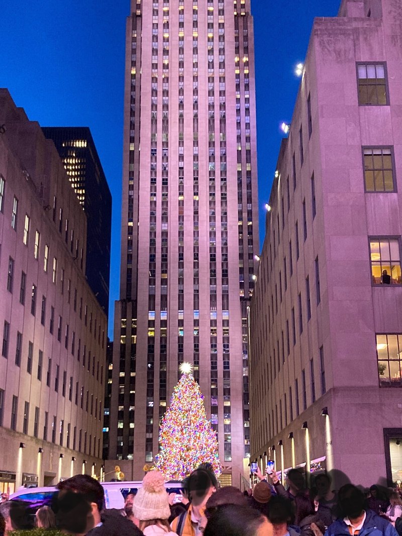 NYでの起業の先にあるもの｜須能玲奈 (Rena Suno)