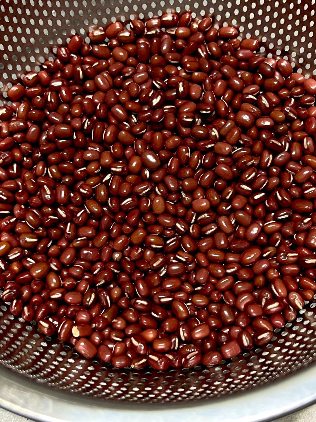 X post📮 Vol.2 2024年1月 8日（月）〜1月14日（日）｜かりん