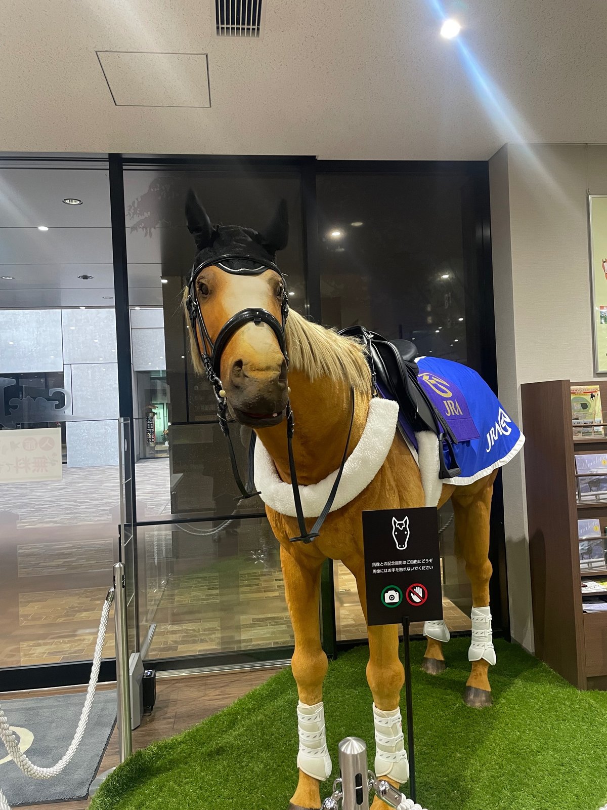 GATE J.東京行ってみた｜とある大学生がUMAJOになってみた