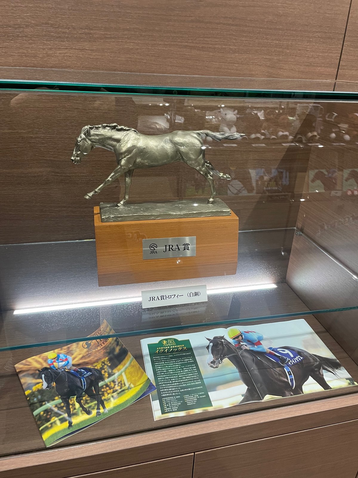 GATE J.東京行ってみた｜とある大学生がUMAJOになってみた