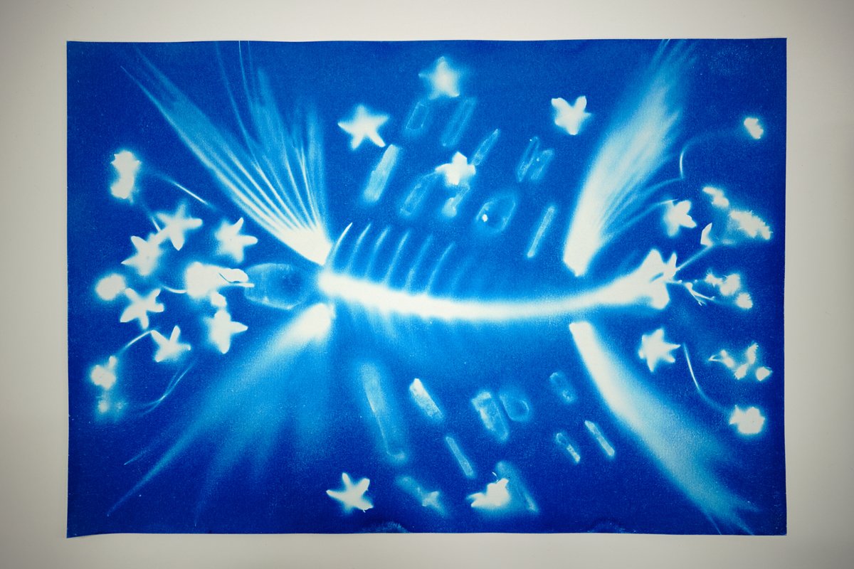 光で描く！カメラを使わない写真。フォトグラムの魅力とは？｜Shunya.Asami NOTE