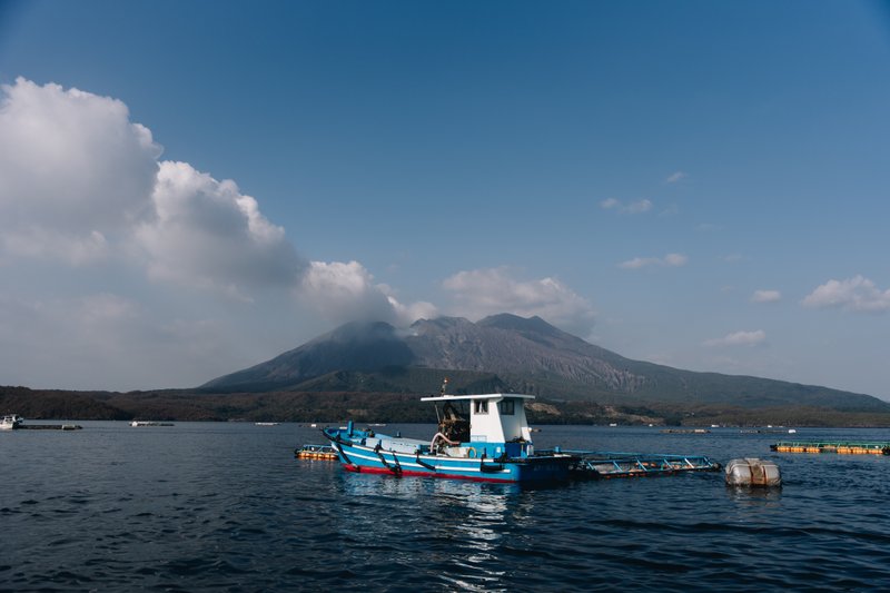 【世界を魅了！日本の魚】NHKクローズアップ現代にGOWが取り上げられました！｜GLOBAL OCEAN WORKS GROUP- グローバル ...