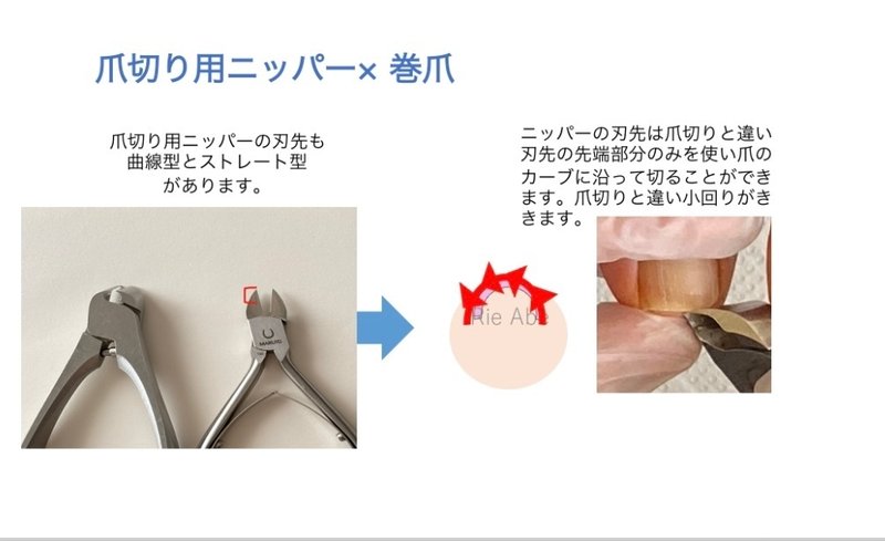 [爪切りの刃の形]と[爪の形]の関係性｜阿邊里恵_rie abe