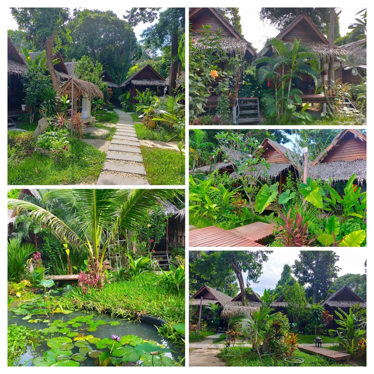 HIROとKIOは " 暮らす旅 " 実験中⑱#リペ島に世界ベストビーチ20があった！｜webkio