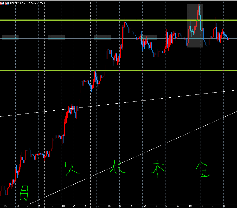1月の3週目～ ｜FX ZEN