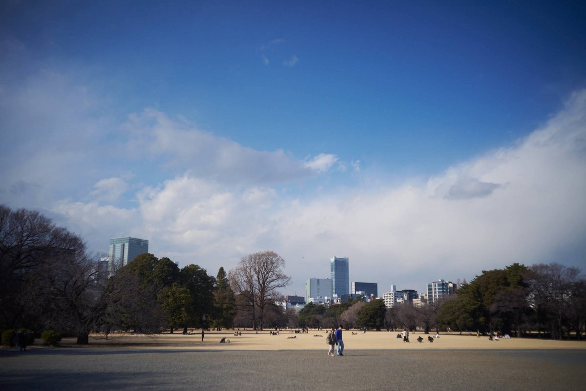 今日の十枚（Nikon Z5+summaron 35mm）。2024年1月20日｜naoyuki sasaki