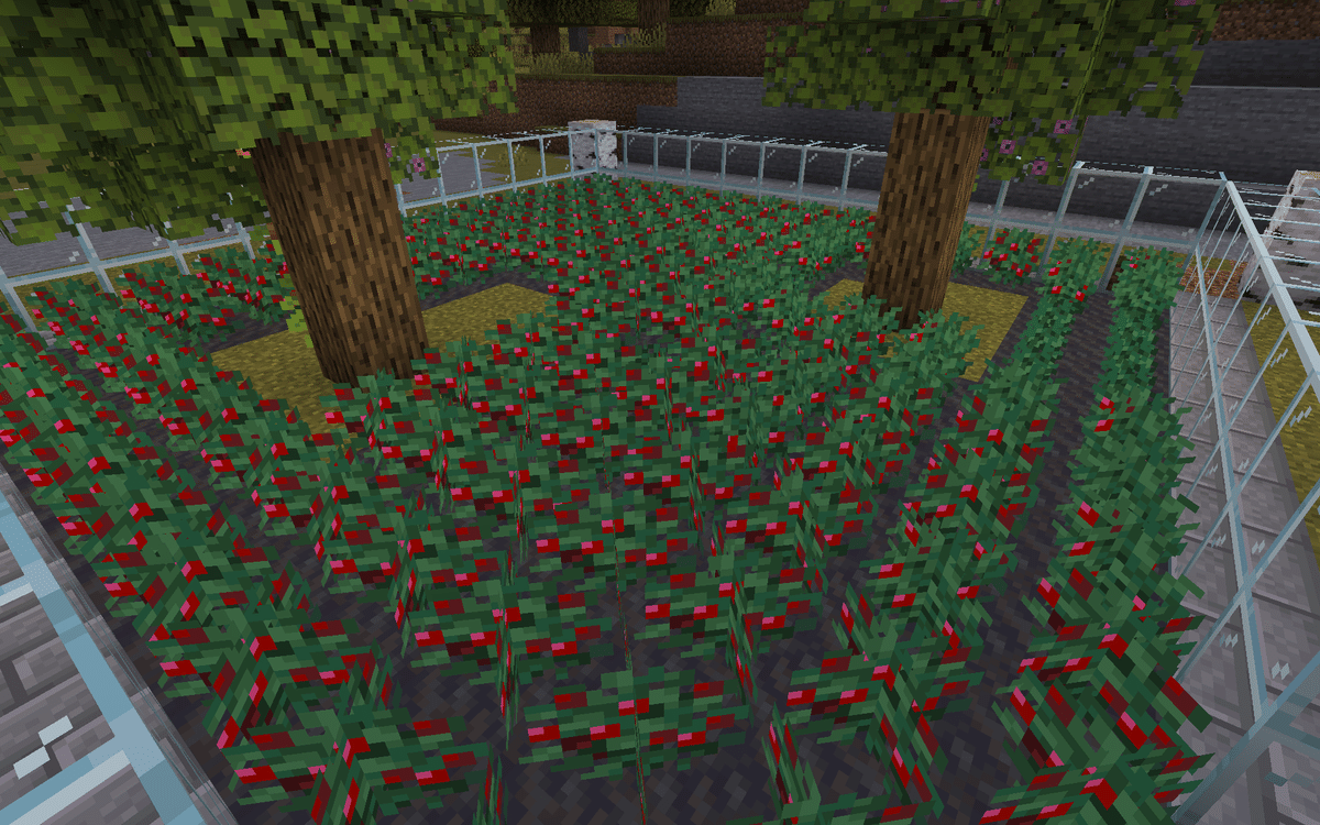 【マイクラ日記#5】キツネ式スイートベリー無限を作ってみたが…？【Minecraft JAVA1.20】｜まさと