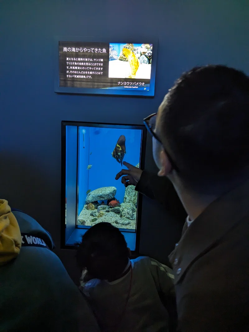 K一家と行く水族館フィールドワーク（2024/1/20/雨）｜kawabata