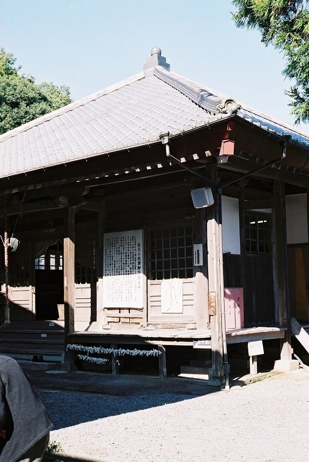 フィルムカメラ レチナ2Cによる画像（5）｜shinmatsu