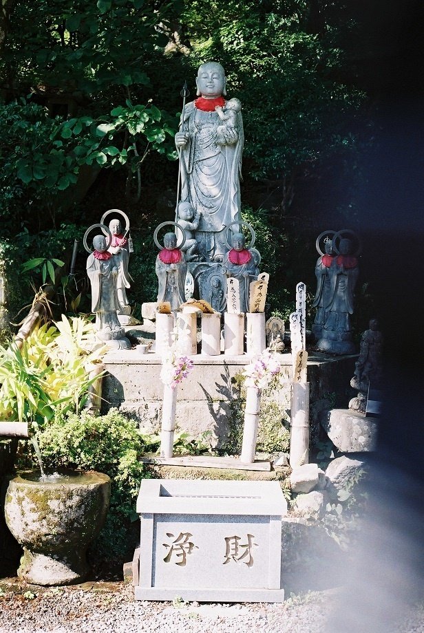 フィルムカメラ レチナ2Cによる画像（5）｜shinmatsu