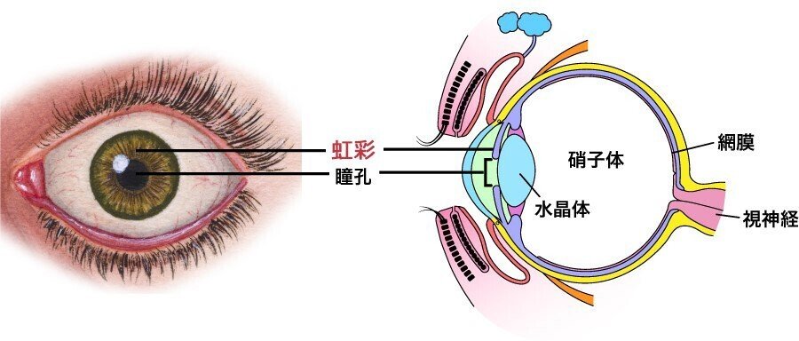 Worldcoinよくある質問集｜CryptoBar P2P