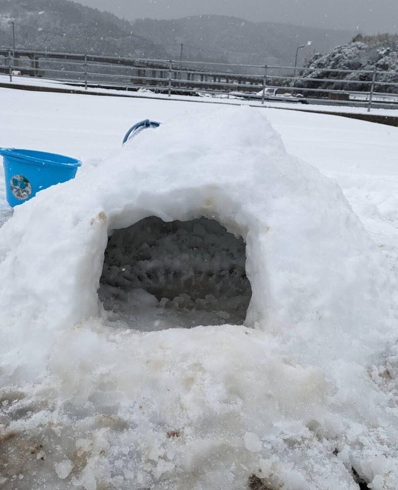 長男の暇つぶし｜Daiku Amano