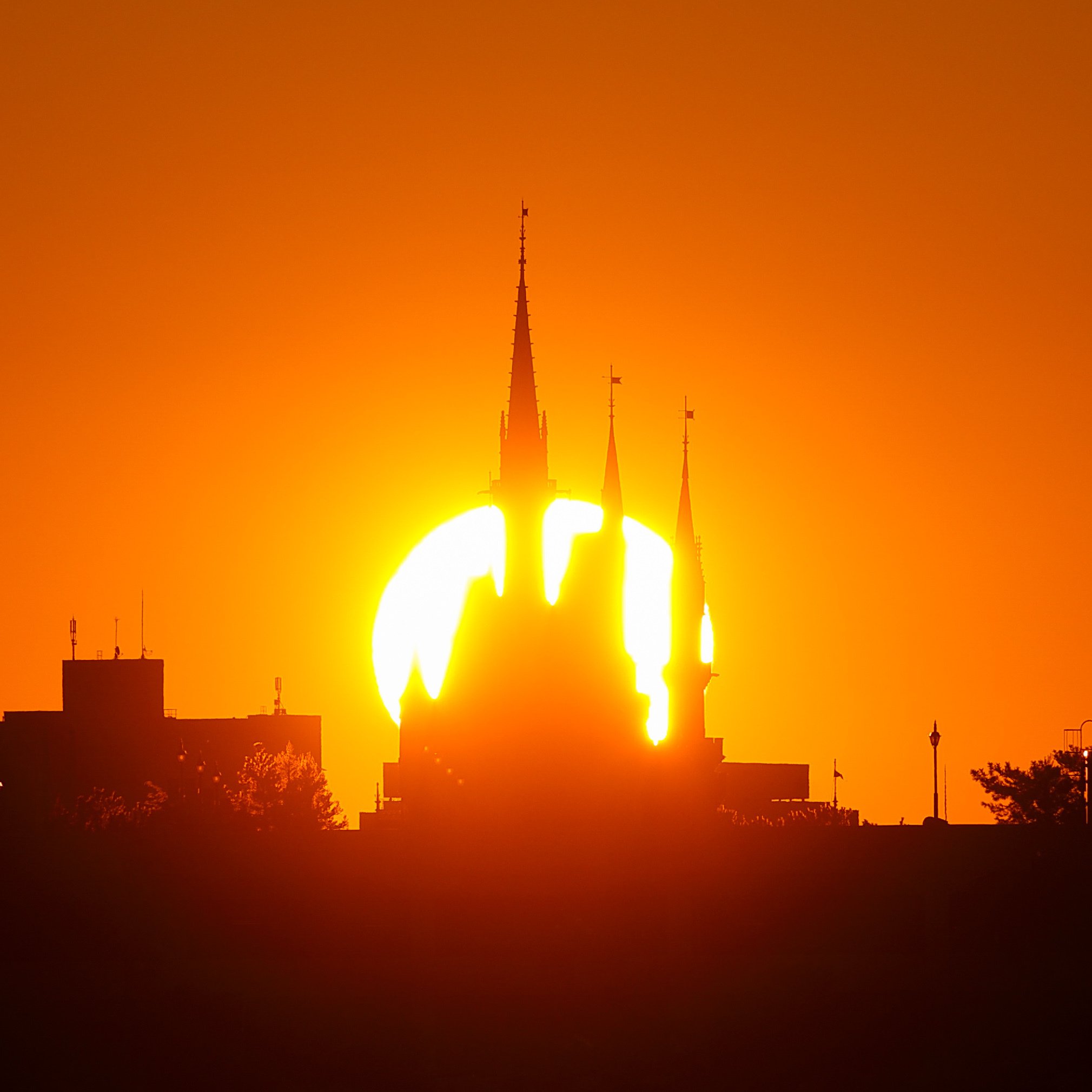 SCW予測検証 2024/1/27｜Toru Shiratori