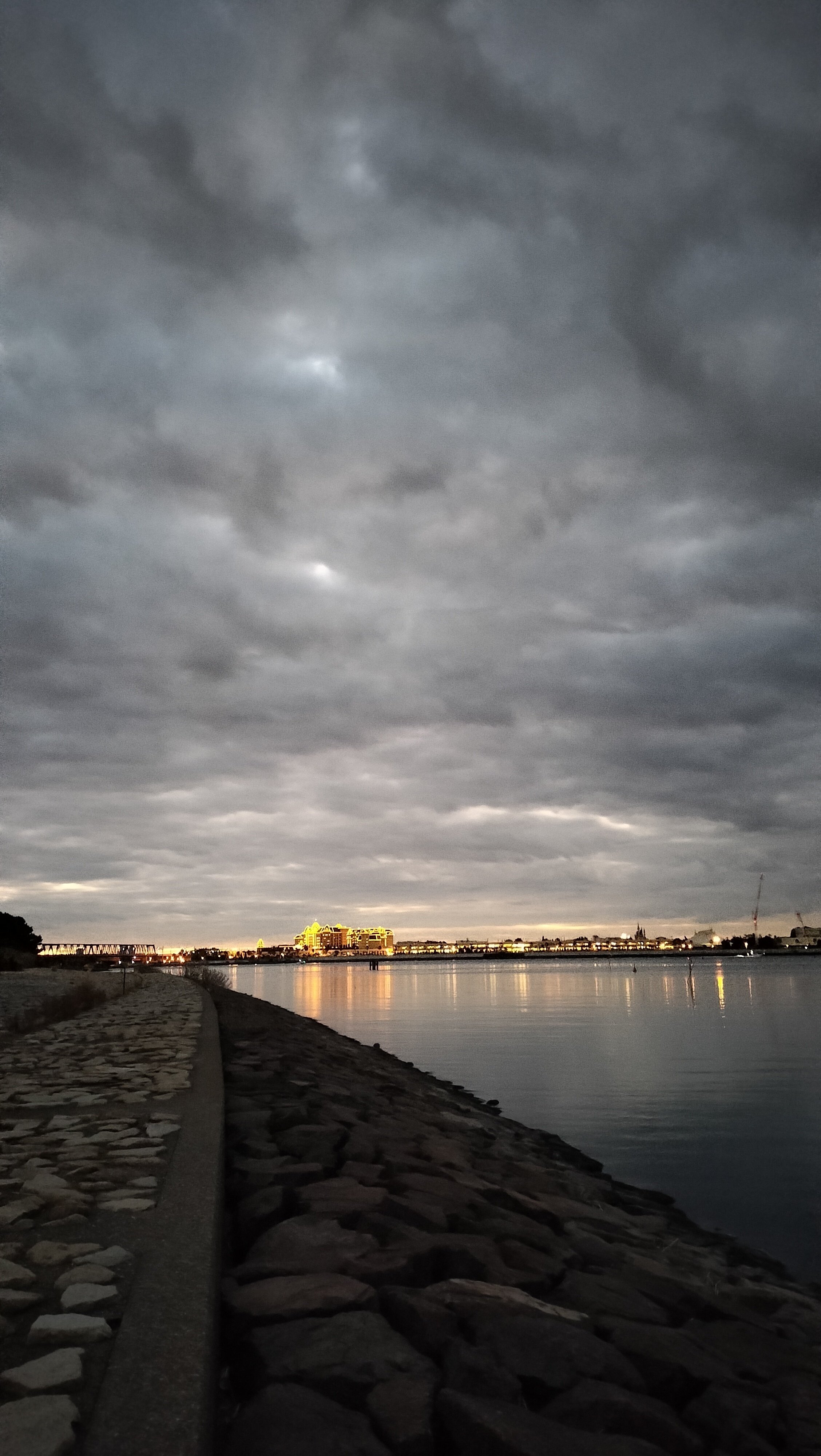 SCW予測検証 2024/1/28｜Toru Shiratori