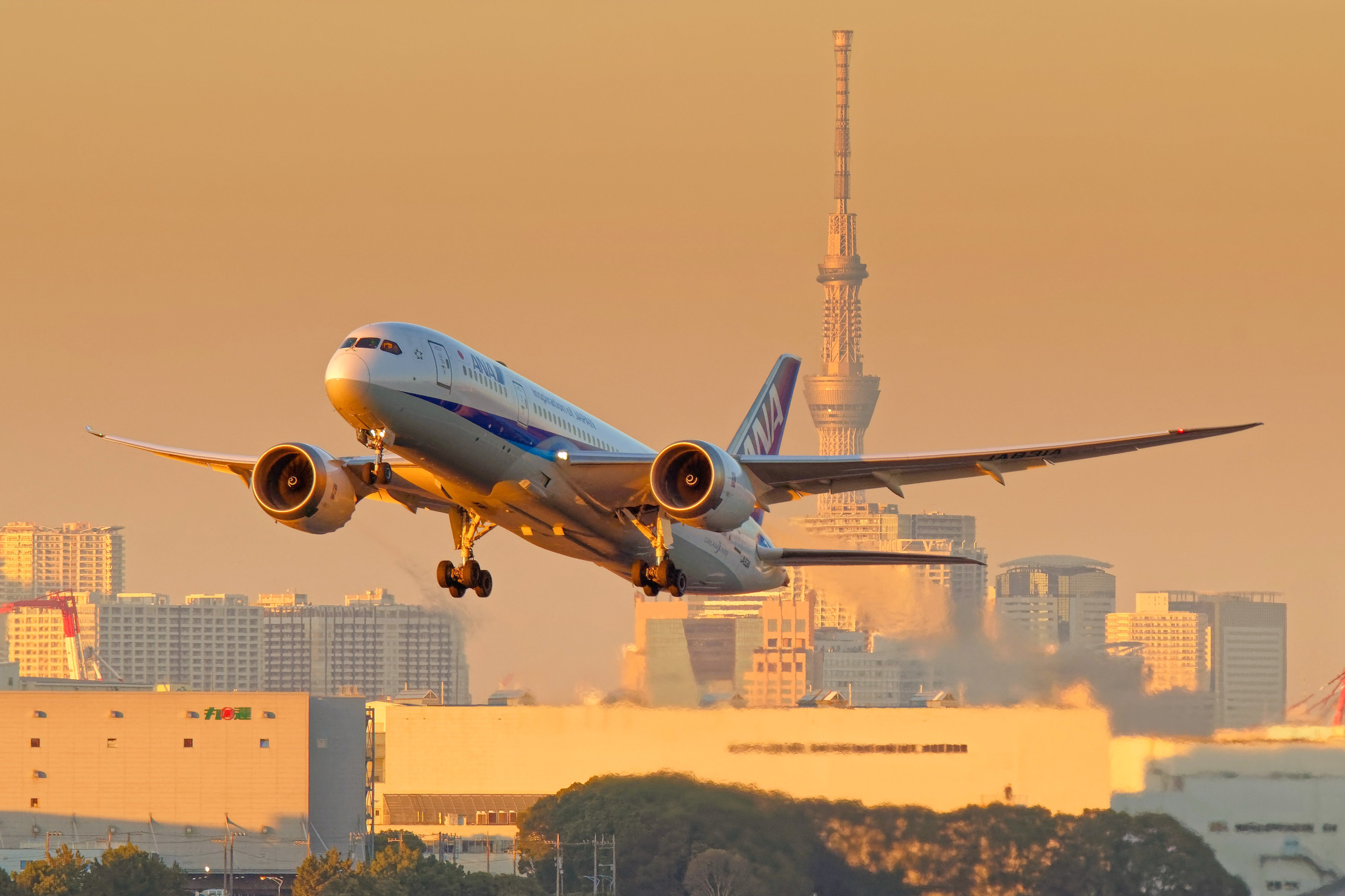 ☆カワセミくん！！｜Fred☆Aoki / 航空機ロマン