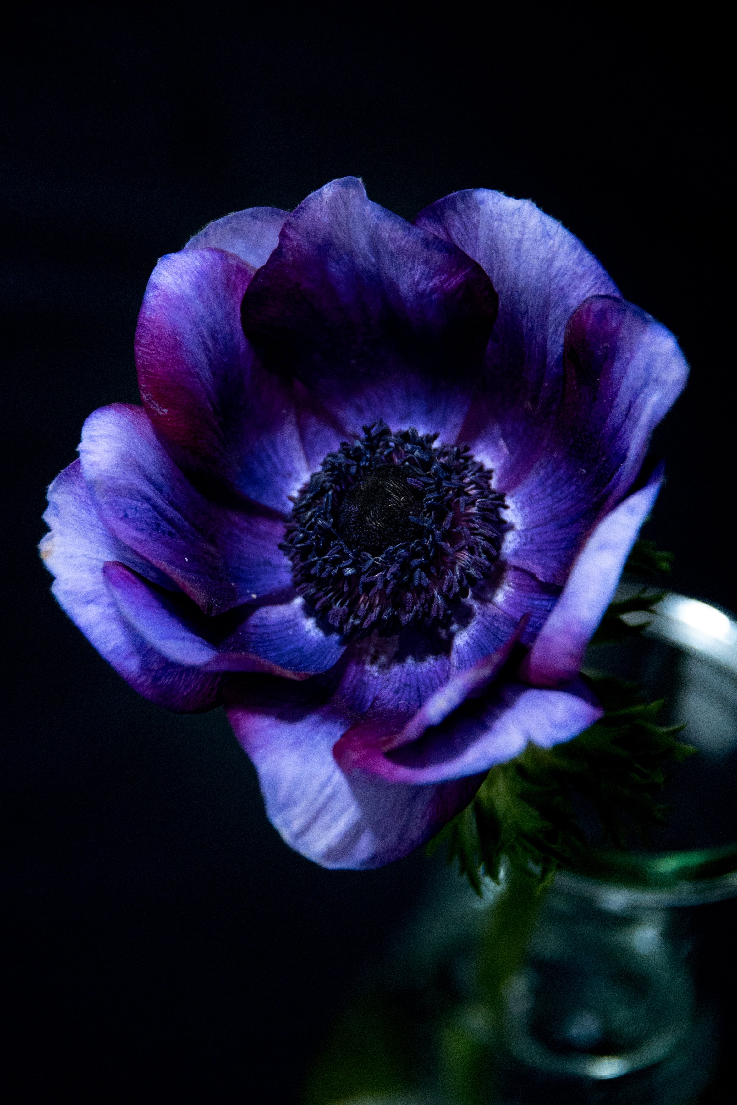 2401XX｜yuki kimura