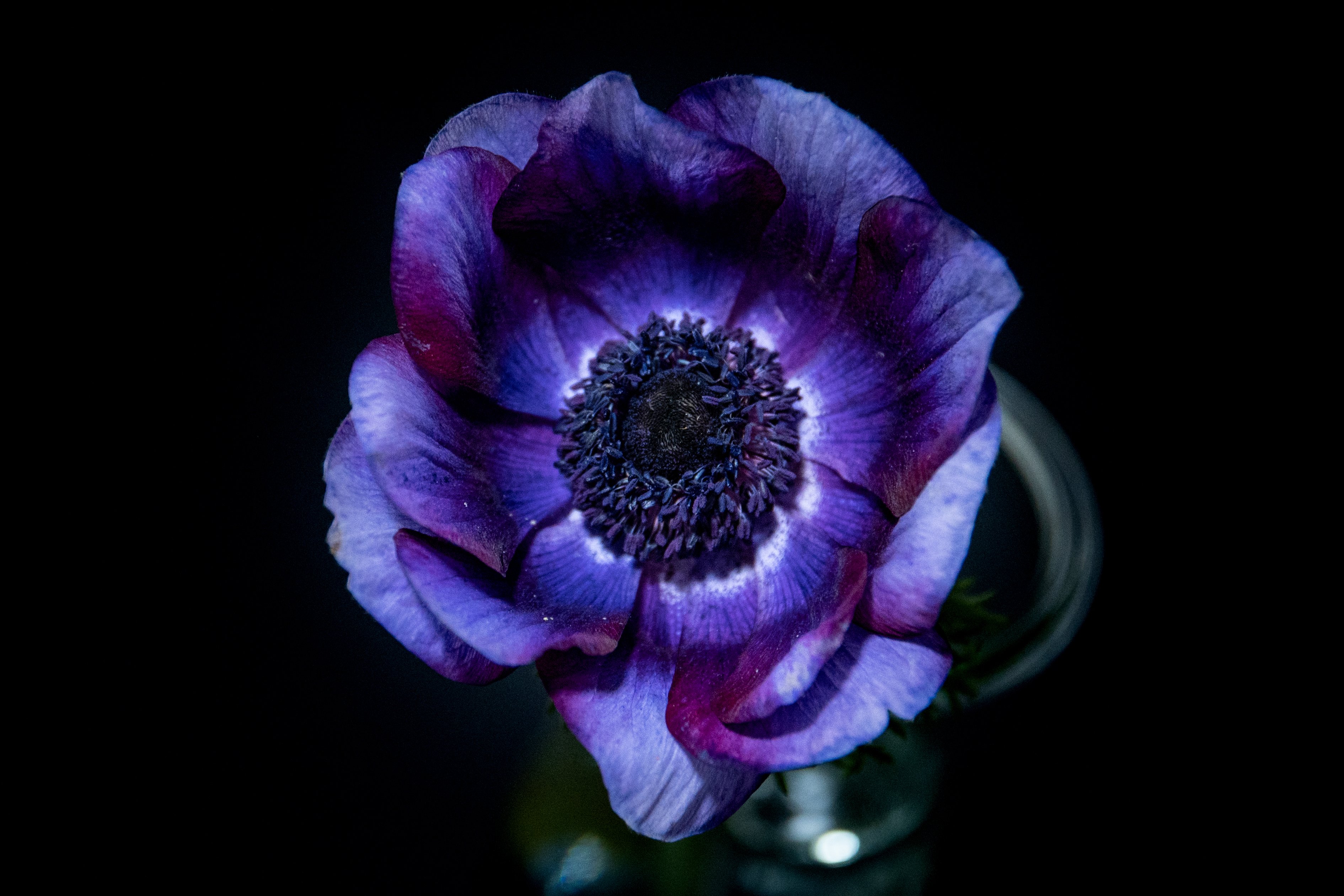 2401XX｜yuki kimura