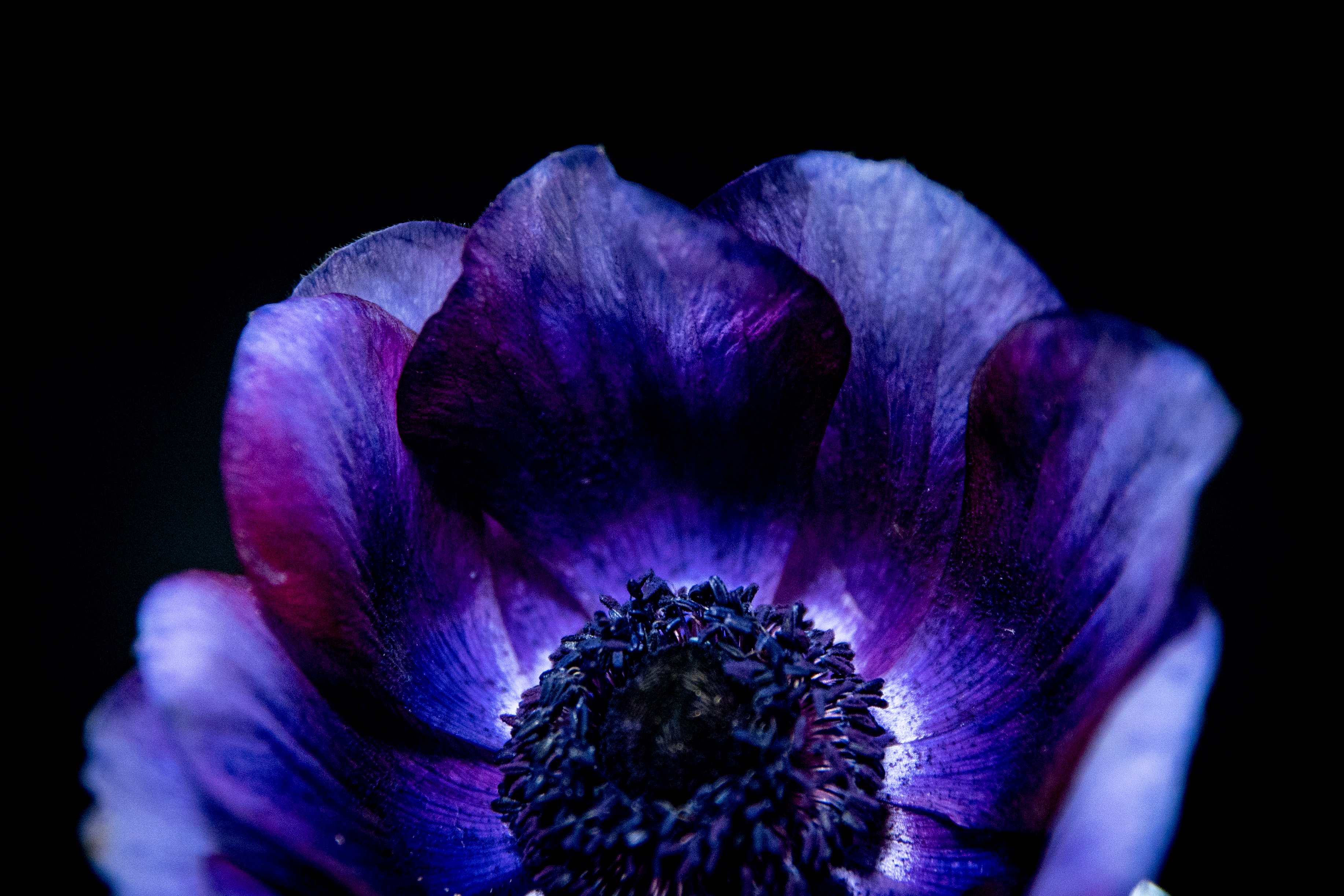 2401XX｜yuki kimura