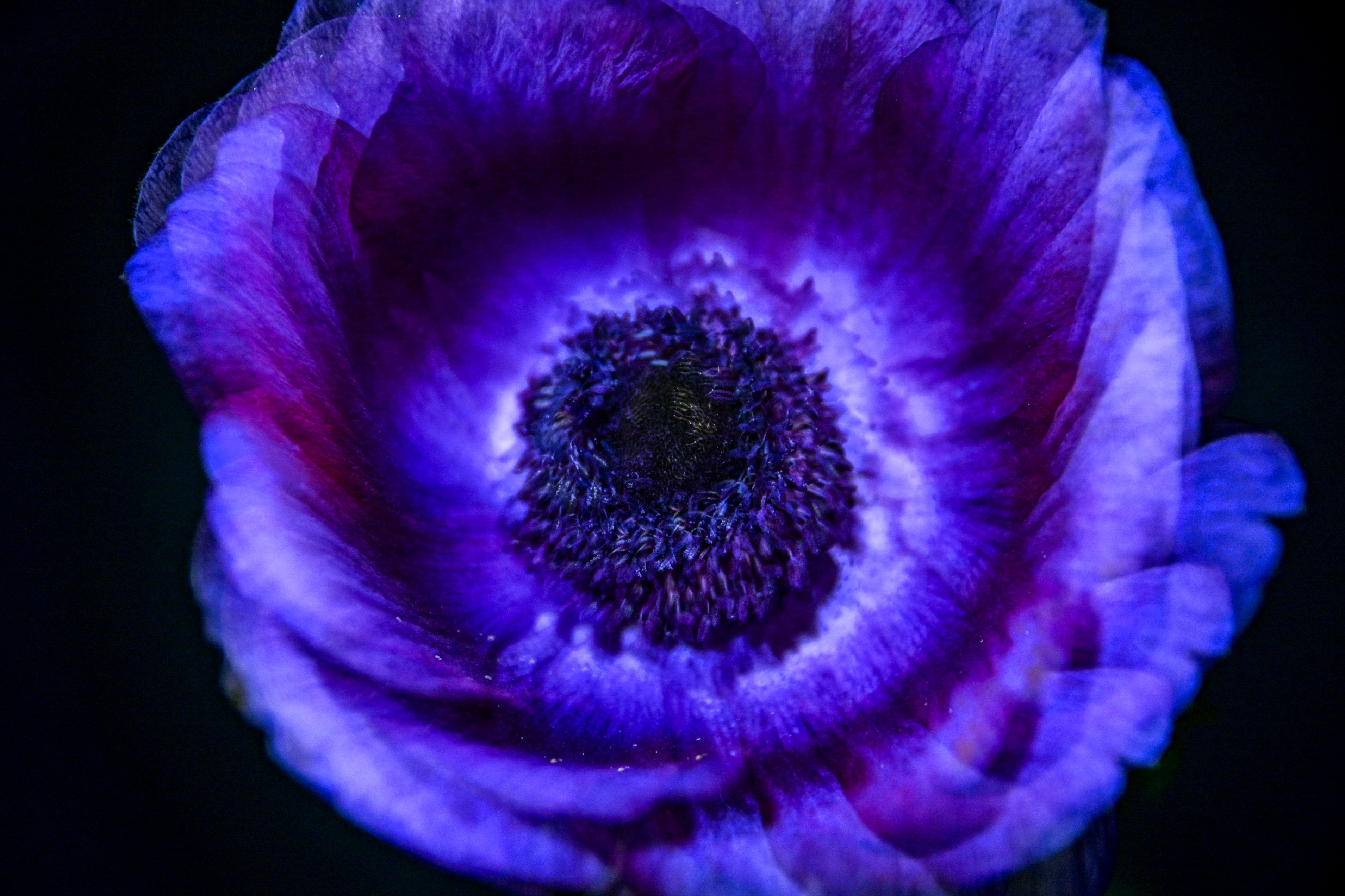 2401XX｜yuki kimura