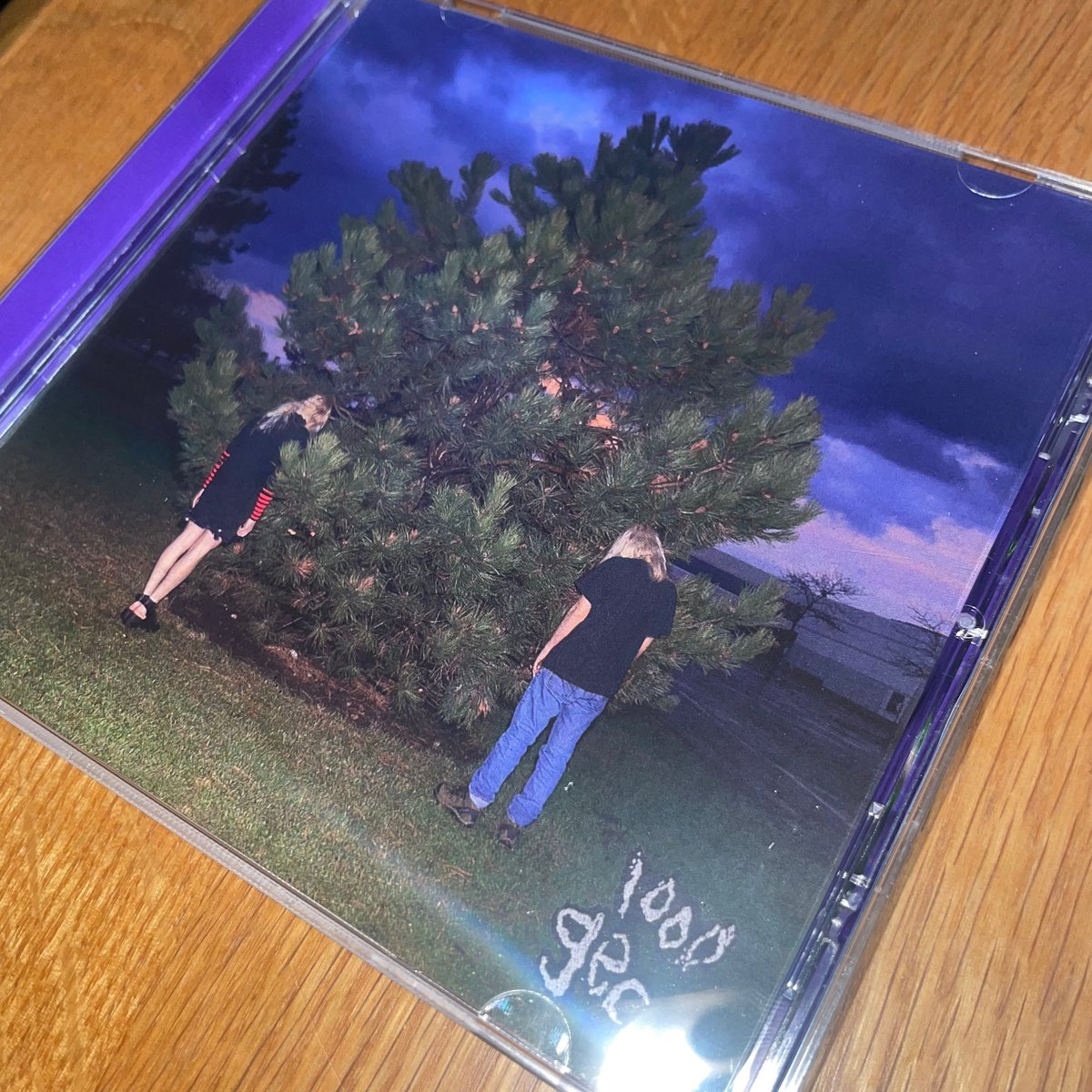 100 gecs の『1000 gecs』を聴いてみた編｜内山 結愛