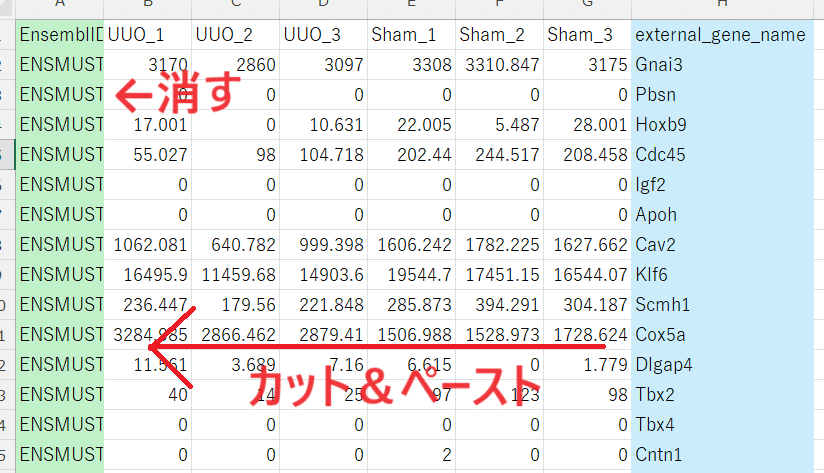 Ensemble ID→Gene IDへの変換方法【RNAseq】｜ぶるーく