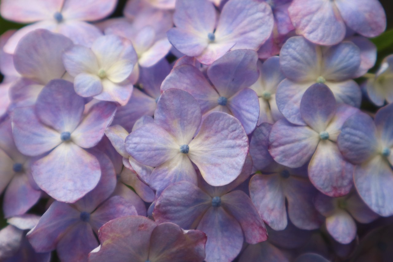 写真で癒す フォトセラピスト tsukimi f｜note