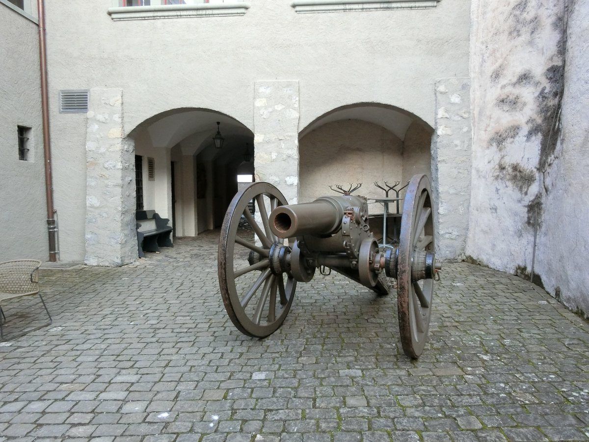 スイス・トゥーン観光（ブラームスが過ごした街）｜岡田柚香 Yuzuka Okada
