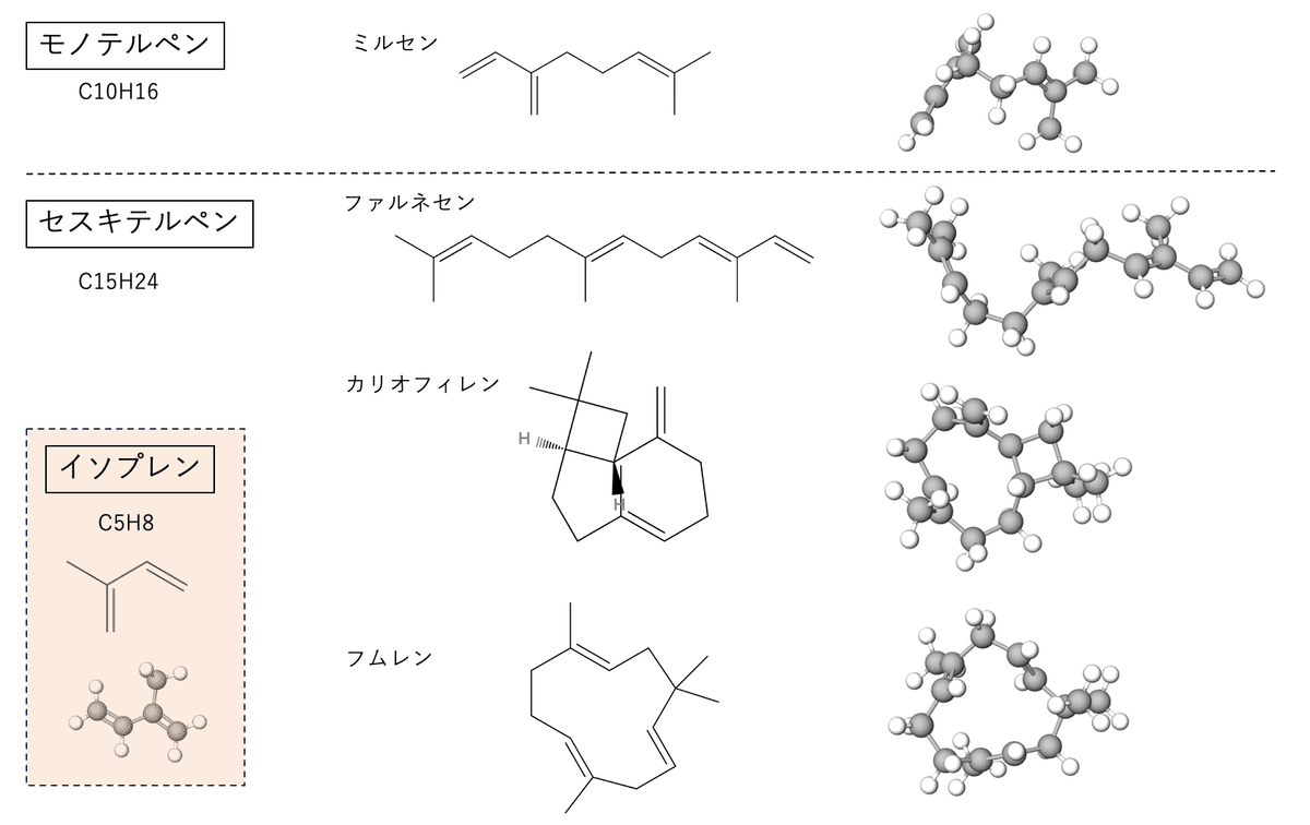 Off Flavor入門〜⑤有機化合物と官能基｜Shiro Yamada