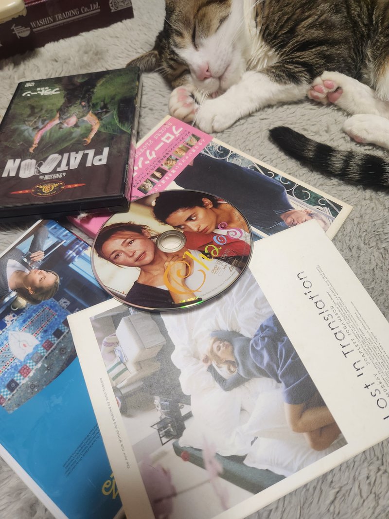 Movie Day（映画感想）！！｜shironeko