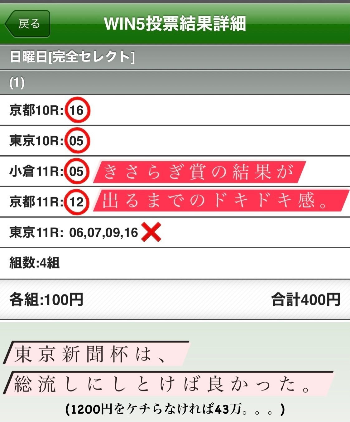 WIN5的中＆トリプル馬単的中 地方競馬＋中央競馬攻略予想 - 競馬