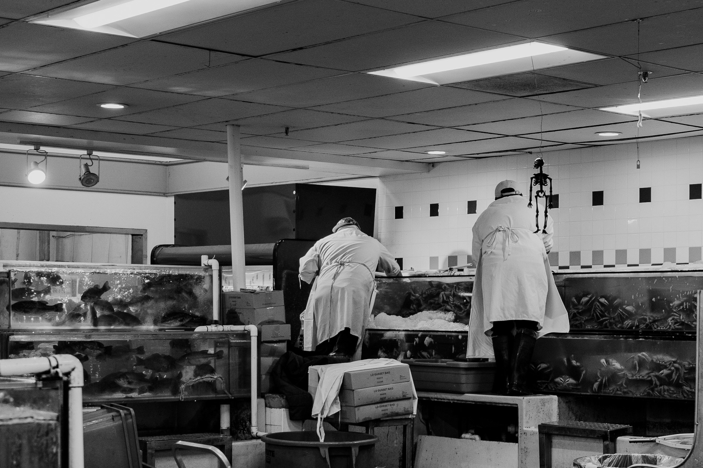 Crabbing Sunday｜helloryuji