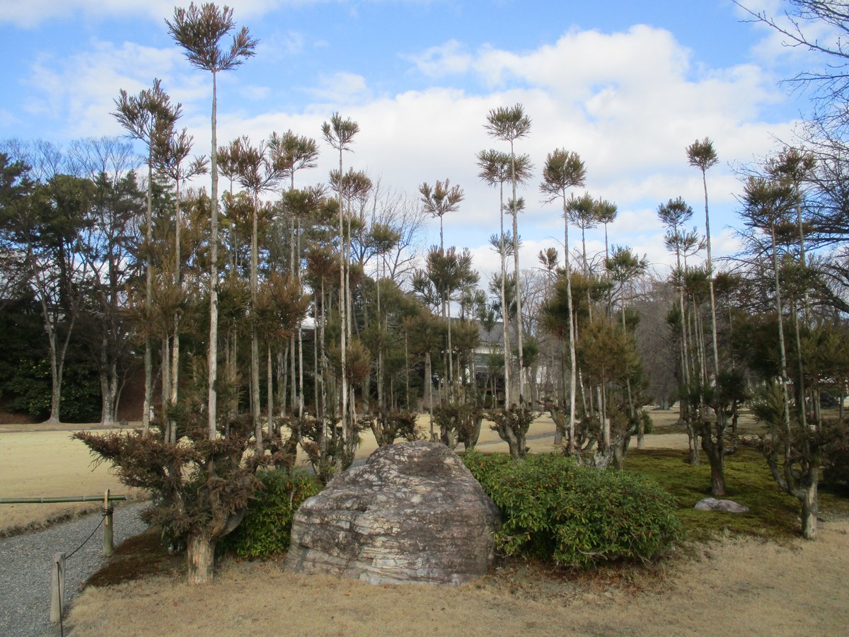 「二条城」見学録【京都市･中京区】｜GEnKU