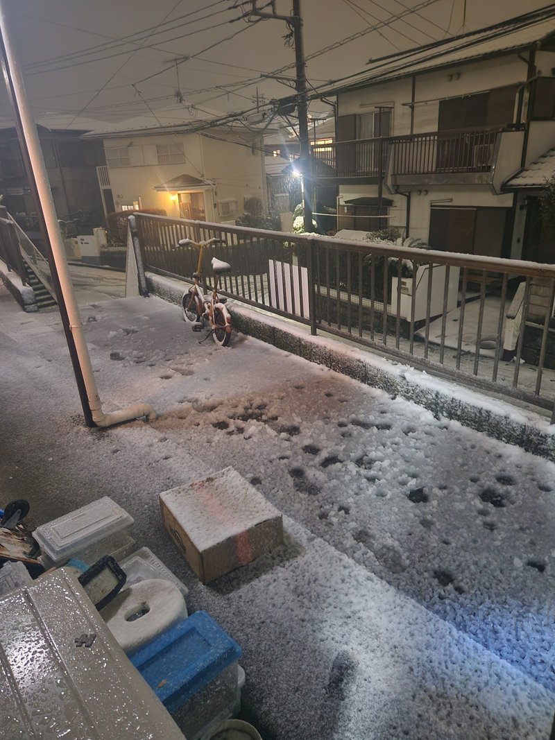 セレブレーション｜shironeko